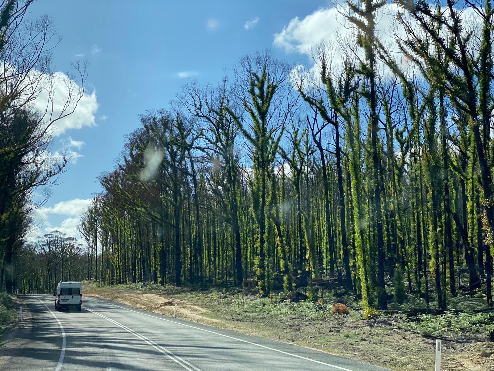 Bushfire Recovery Program 2020 - BB Risk Solutions